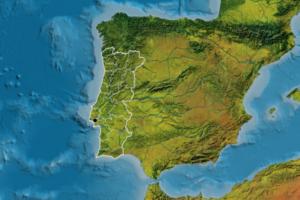 Mandatory B2G E-Invoicing in Portugal: Streamlining Transactions with ...